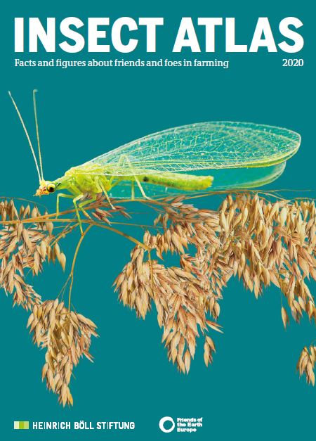 Insect decline: an ecological armaggedon | Heinrich Böll Stiftung ...
