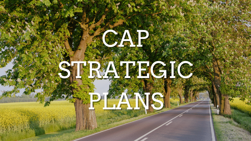 CAP Strategic Plans | Heinrich Böll Stiftung | Brussels office ...