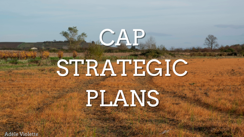 CAP Strategic Plans | Heinrich Böll Stiftung | Brussels office ...