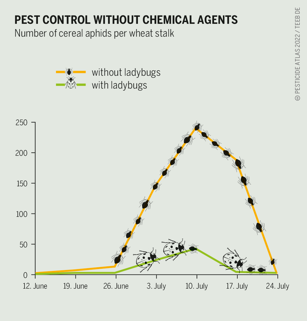 Beneficial insects: nature's little helper | Heinrich Böll Stiftung ...