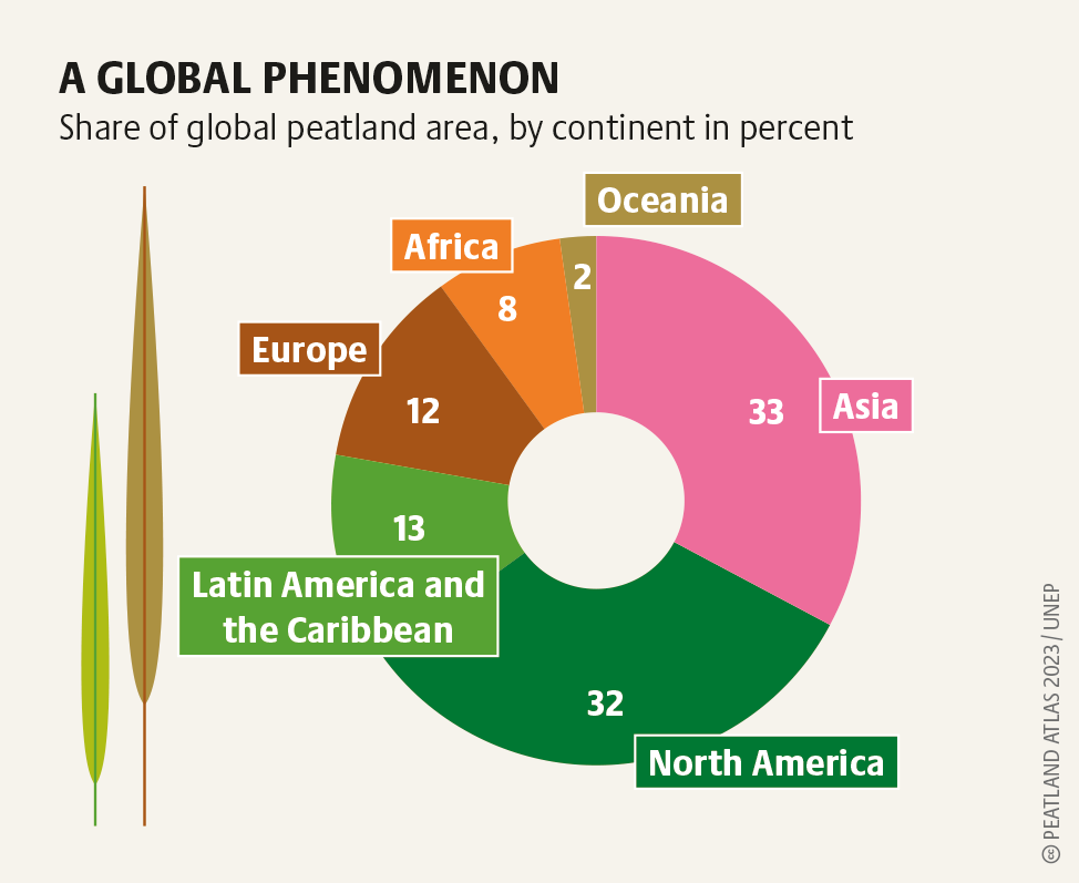 Peatlands around the world: under threat almost everywhere | Heinrich ...