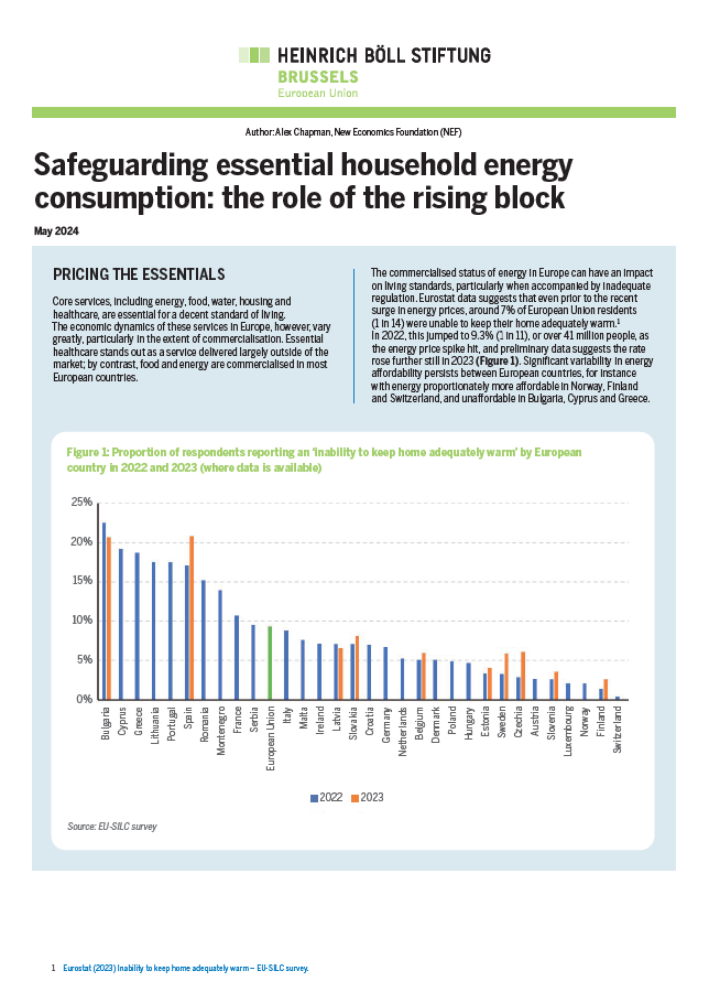 Safeguarding essential household energy consumption: the role of the ...