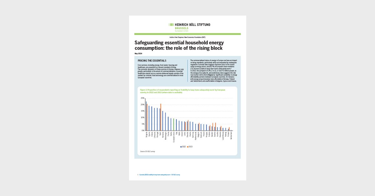 Safeguarding essential household energy consumption: the role of the ...