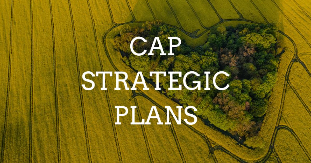 How Transparent and Inclusive is the Design Process of the National CAP ...