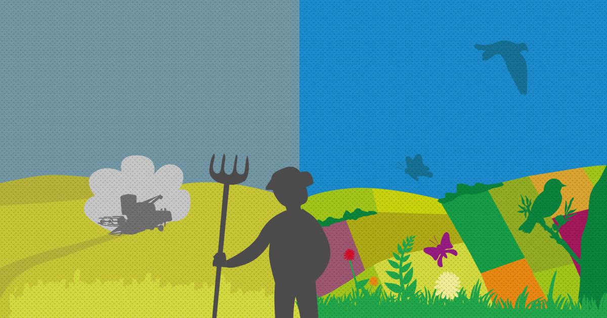 Reform of EU Agriculture Policy and Biodiversity Protection | Heinrich ...