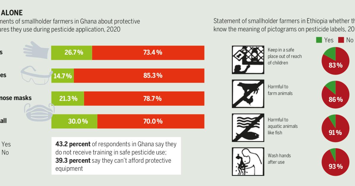 Smallholder farmers: new markets, less regulation | Heinrich Böll ...