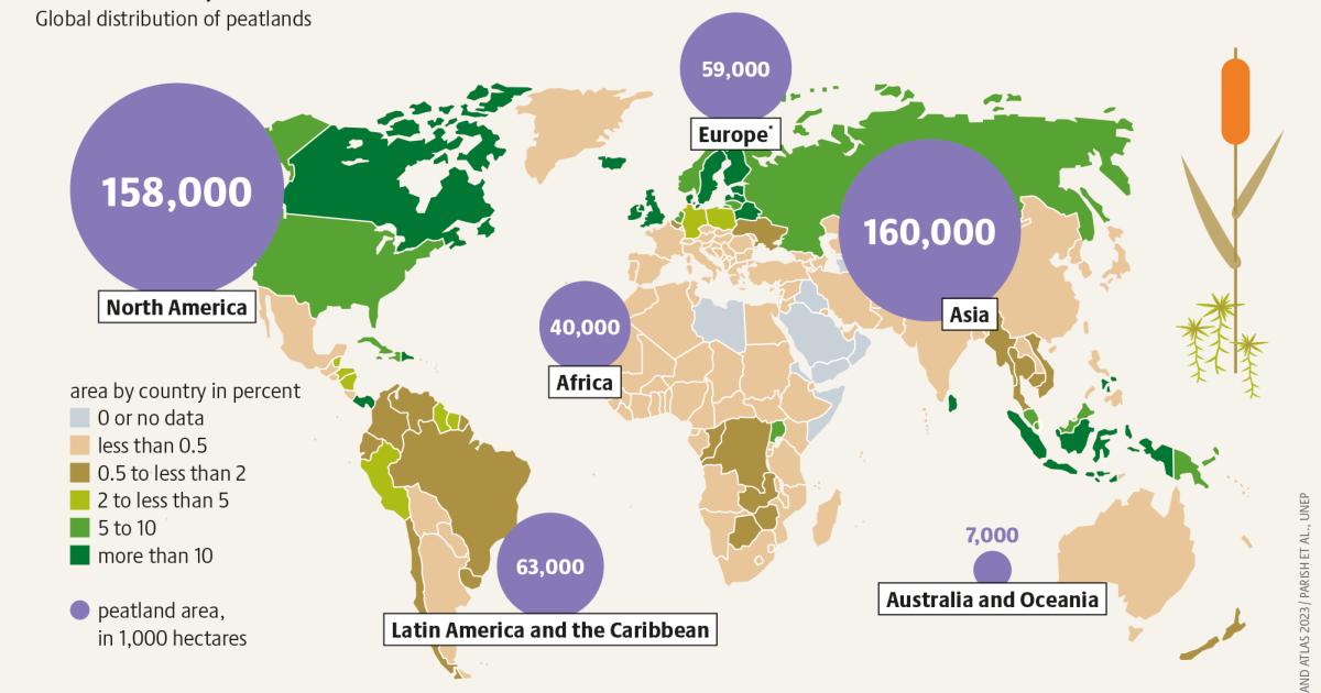 Peatlands around the world: under threat almost everywhere | Heinrich ...