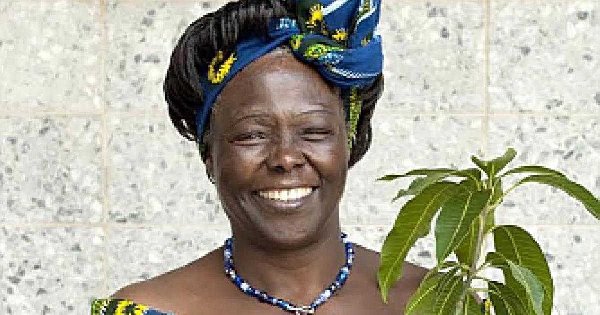 Prof. Wangari Maathai - A Birthday Tribute In Memory of Africa’s Most ...